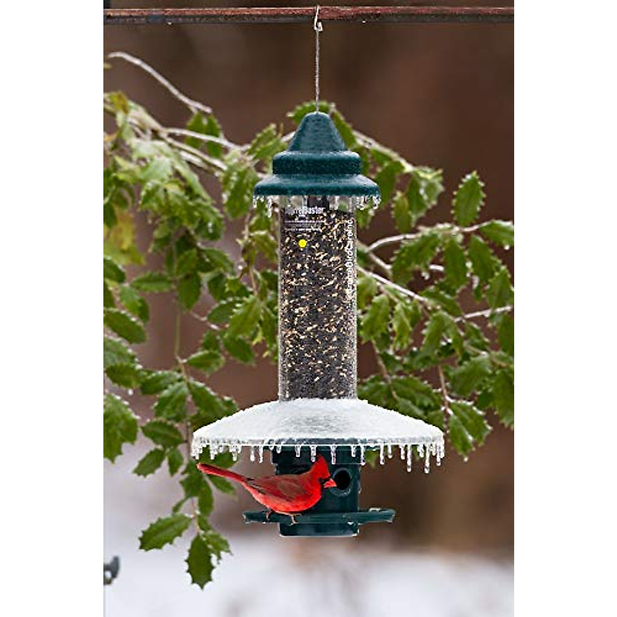 Weather Guard for Squirrel Buster Plus Bird Feeder (FEEDER NOT INCLUDED)