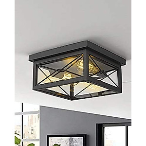 Emliviar 12 Inch Ceiling Light Fixture, 2-Light Flush Mount Ceiling Light in Black Finish, 0387B-CL BK