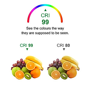 AUZOSL G9 Halogen Bulbs, 12 Pack, 120V, 40W, Dimmable, T4 2 Pin Base, 2700K Warm White (40, Watts)