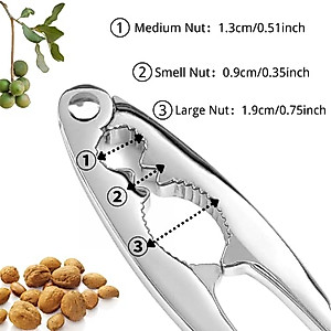 LOCEAST 1 PCS Nut Crackers Heavy Duty Walnut Cracker with Non-Slip Handle Nut Crackers Tools with 2 PCS Forks Nutcracker Pecan Walnut Plier Clip Tool