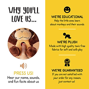 Talking Plush Monkeys Toy Set with Banana Carrier | Soft, Fluffy, and Great Gift for Babies and Toddlers