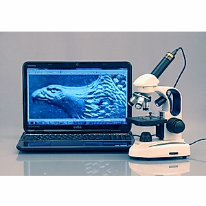 AmScope M158C-2L-PS25 Cordless Compound Monocular Microscope, WF10x and WF25x Eyepieces, 40x-1000x Magnification, Upper and Lower LED Illumination with Rheostat, Brightfield, Single-Lens Condenser, Coaxial Coarse and Fine Focus, Plain Stage, 110V or Batte