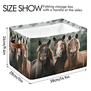 STAYTOP Large Storage Basket Collapsible Toy Storage Bins Waterproof Laundry Basket with Handle.Used for Home Closets, Offices, Bedrooms, Kids Toy and Gift Baskets-Cute Horses（Rectangular）1PCS