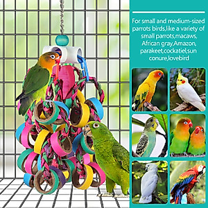lovyoCoCo Bird Toys Conure Toys,Bird Parrot Foraging Shredder 24 Pcs Colorful Bagel Chewy Rings for Small Parrots Parakeets Conures Cockatiels Love Bird Cage Accessies (W)