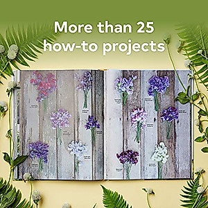 Floret Farm’s A Year in Flowers: Designing Gorgeous Arrangements for Every Season (Floret Farms x Chronicle Books)