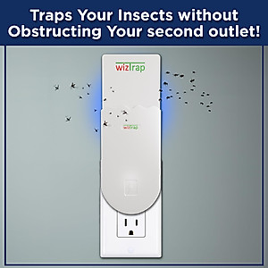 WizTrap MiniMax Plug in Fruit Fly Traps for Indoors! A Flying Insect Trap with UV LED Bulbs & 5 Glue Board Refills! Gnat Trap Used as a Fruit Fly Killer, Indoor Fly Trap, Mosquito Trap, Gnat Killer!