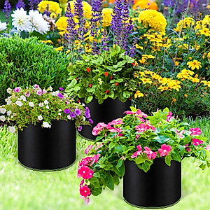 NACHLYNN 5-Pack 10 Gallon Grow Bags with Handles Thickened Nonwoven Fabric Pots Heavy Duty Aeration Fabric Pots Plant or Fruits Flowers Plant