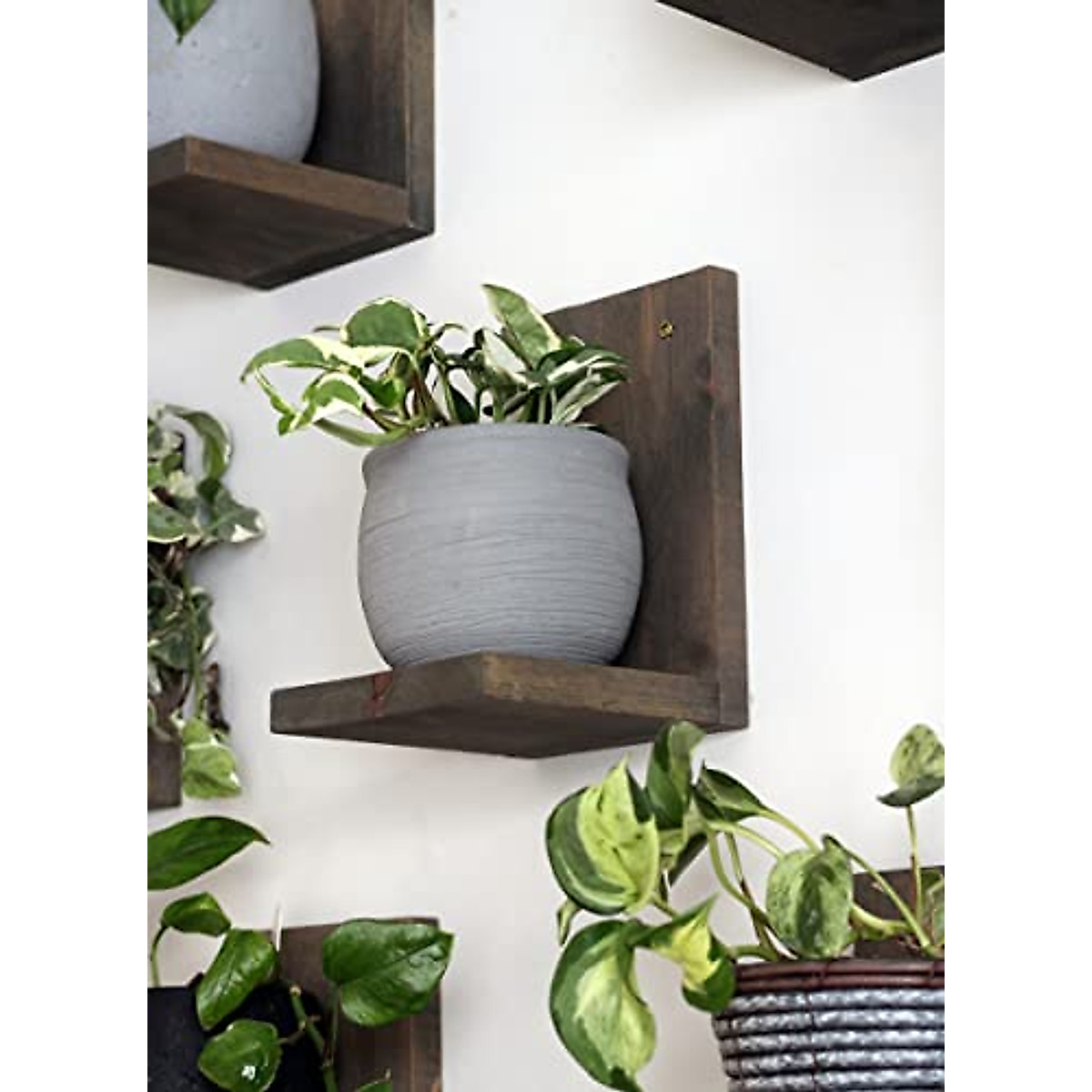 Daniel's Plants Midcentury Modern Gallery Wall Plant Shelf | Pack of 3 Wooden Shelves | L Shaped Floating Shelf Kit | Floating Shelves | Wood Floating Shelf