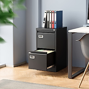 Anxxsu 2 Drawer File Cabinet, Filing Cabinets for Home Office, Metal Vertical File Storage Cabinet with Lock, Locking File Cabinet for A4 Legal/Letter, 15.1" W x 17.7" D x 28.7" H, Assembly Required