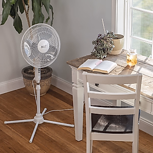 Comfort Zone Electric Oscillating Pedestal Fan, Stand Fan, 16 inch, 3 Speed, 90 Degree Oscillating Head, Adjustable Height and Tilt, Airflow 7.48 ft/sec, Ideal for Home, Bedroom & Office, CZST161BTE
