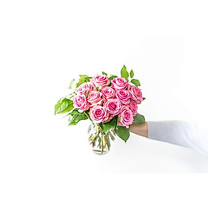 From You Flowers - One Dozen Light Pink Roses with Glass Vase (Fresh Flowers) Birthday, Anniversary, Get Well, Sympathy, Congratulations, Thank You