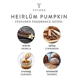 Thymes Heirlum Pumpkin Copper Candle - 4 Oz