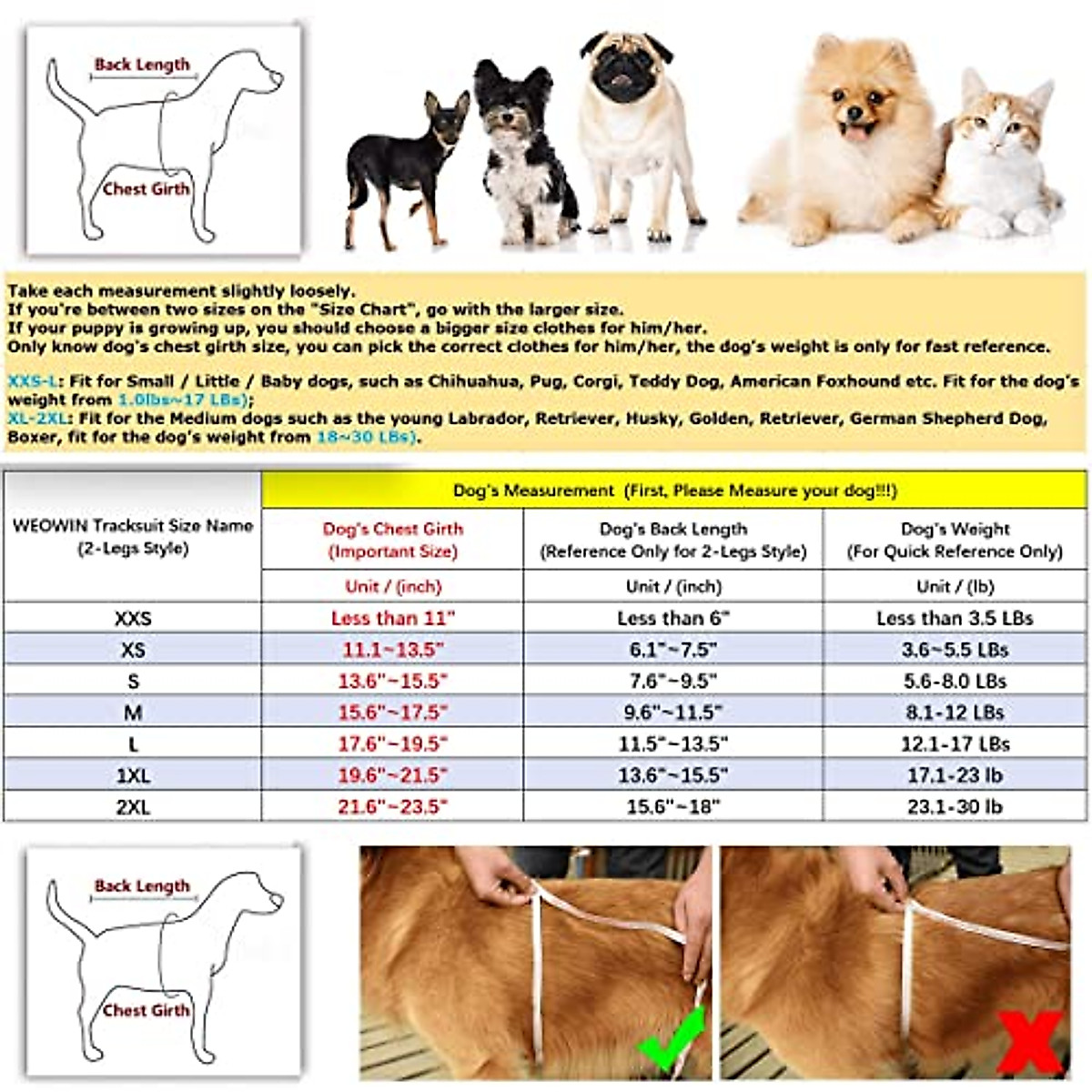 Pet Cat Dog Clothes Hoodie Tracksuit Jacket Winter Sweater Cute Outfit 2-Legs Style Grey for Puppy Small to Medium Dogs Boy and Girl (Medium)