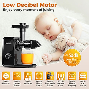 IWODTECH Juicer Machine, Cold Press Juicer with 2 Speed Modes, Slow Masticating Juicer Vegetable and Fruit, Celery Juicer, BPA-Free, Easy to Clean, Black