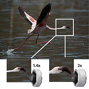 Sony FE 200-600mm f/5.6-6.3 G OSS Lens (SEL200600G) + Lens Cap Keeper + Cleaning Kit + More (Renewed)