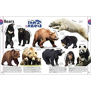 The Animal Book: A Visual Encyclopedia of Life on Earth (DK Our World in Pictures)