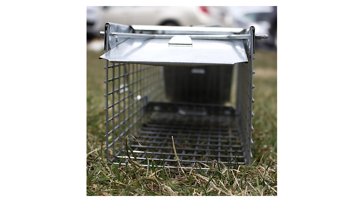 Havahart 1025 Small 2-Door Humane Animal Trap - Safe & Effective