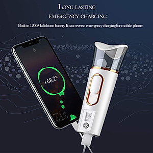 FATUXZ Handy Nano Mist Sprayer with Skin Analyzer Moisture Tester, Portable Facial Atomization Eyelash Extensions Steamer Mister,Mini Cool with Large Capacity,Face Moisturizing,Hydration Refreshing