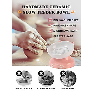 Y YHY Ceramic Slow Feeder Cat Bowl, Elevated Cat Bowl Tilted Design Slow Feeder for Dog and Cat for Dry and Wet Food, Pink