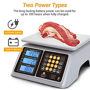 BROMECH Food Scale, Price Computing Scale, IPX7 Waterproof, 66lbs Capacity, White Backlight LCD, Rechargeable Commercial Meat Produce Weight Scale for Farmers Market and Seafood