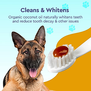 RADIUS USDA Organic Canine Pet Toothpaste 1 Unit, 3 oz, Non Toxic Toothpaste for Dogs, Designed to Clean Teeth and Help Prevent Tartar and Remove Plaque, Xylitol Free