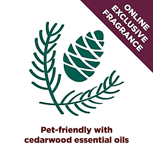 Arm & Hammer Forever Fresh Clumping Cat Litter Cedarwood, MultiCat 18lb, Pet Friendly with Essential Oils, (Pack of 1)