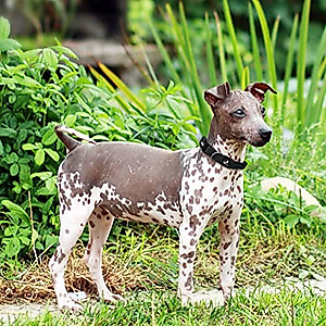 Kruz PET KZA102-18S Mesh Dog Collar for Small, Medium, Large Dogs, Adjustable Neck Collar, Soft, Lightweight, Breathable, Comfort Fit - Raspberry Pink - Small