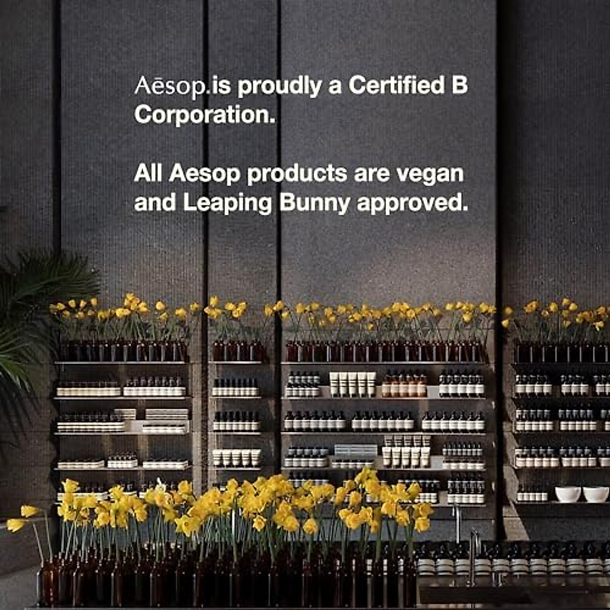 Aesop Shampoo | Enlivening Shampoo For Soft, Shiny, Fragrant Hair | With Frankincense and Panthenol | 16.9 oz