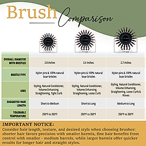 Belula Boar Bristle Round Brush for Blow Drying Set. Round Hair Brush With Medium 2.4" Wooden Barrel. Hairbrush Ideal to Add Volume and Body. Free 3 x Hair Clips & Travel Bag.