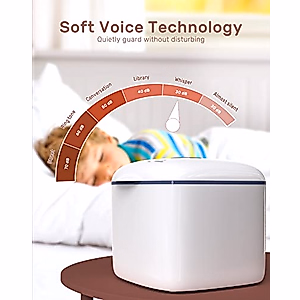 GROWNSY UV Light Sanitizer, 4-in-1 Bottle Sterilizer and Dryer Household Sterilizer for Baby Bottle/Toys/Clothes/Cup/Toothbrush/Beauty Tools/Tableware/Phone