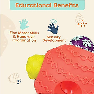B. toys- B. baby- Baby Ballss– 1 Big Textured Ball with 5 Small Sensory Balls – Developmental Toys for Babies 6 Months +
