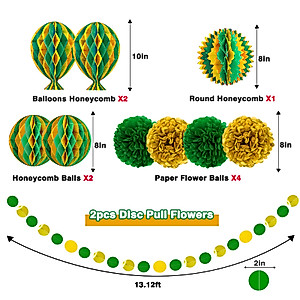 Green Gold Party Decorations, Graduation Season Hanging Paper Fans Honeycomb Balls Dot Garland Glitter Triangle Flags Pennants for St. Patrick's Day Green Theme Birthday Gender Reveal Supplies