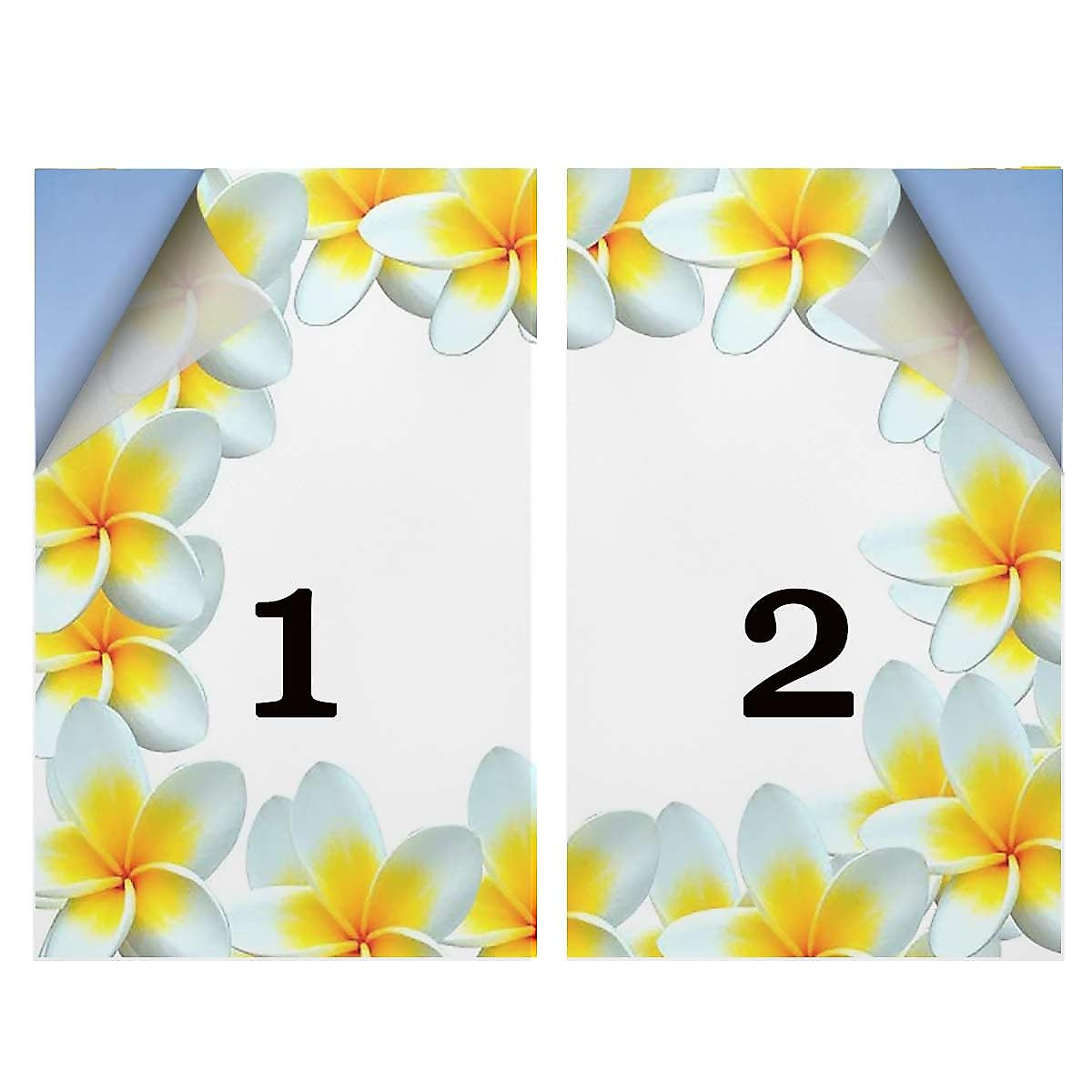 White Yellow Home Window Privacy Film Removable Frosted Glass Window Film for Home, Office, Bedroom, Shower, Hawaiian Frangipani Blossoms Exotic Glass Films 17.7Wx23.6L-inch x2 Pcs