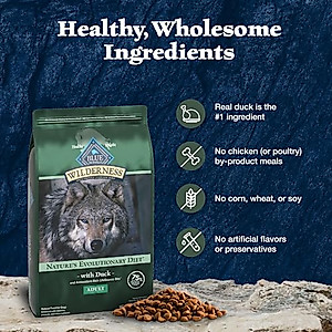 Blue Buffalo Wilderness Natural High-Protein Dry Food for Adult Dogs, with Wholesome Grains, Duck, 24-lb bag.