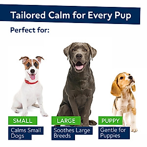 STRELLALAB Vet Formulated Hemp Calming Chews for Dogs - Anxiety Relief Calming Treats - Advanced Melatonin Pet Calm - Natural Sleep Aid & Stress, Separation Anxiety Relief - 120 Treats - Bacon