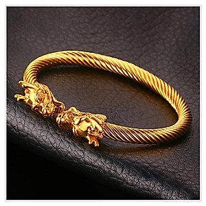 Mgutillart Punk Rock Titanium Steel Animal Dragon Head Cuff Bracelet