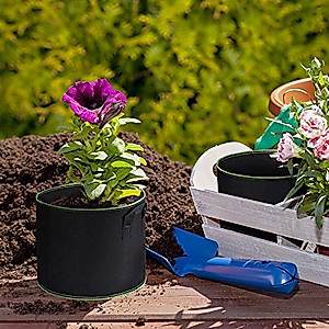 Delxo 10 Gallon Grow Bags 10 Pack for Planting, Fabric Pots Plants Growing Bags with Handles Heavy Duty Aeration Thickened Nonwoven