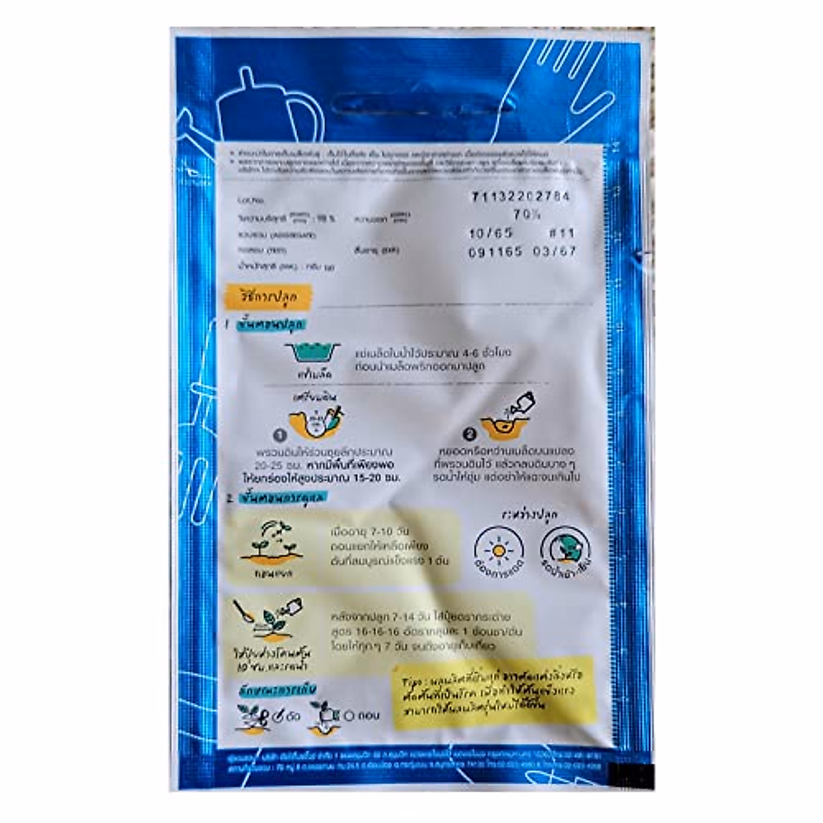 Airplane Seeds Thai Bird Chili Pepper Seeds 100 Seeds per Pack