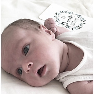 CoCreative Design Newborn Baby First Year Progress Report Cards (Set of 26) - Unique Shower Prop Gift with Cute Sayings and Floral Wreath Prints - Perfect for New Moms and Parents