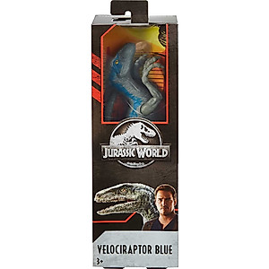 Mattel Jurassic World Toys Large Basic Velociraptor Blue
