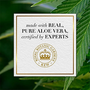 Herbal Essences Bio:Renew Sulfate Free Hemp + Potent Aloe Shampoo and Conditioner Set, 13.5 Fl Oz Each — Nourishes Dry Hair for Frizz Control, Paraben Cruelty Safe Color Treated (Pack of 1)