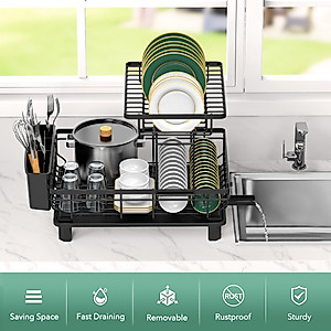 ROTTOGOON Large Dish Drying Rack, 2-Tier Stainless Steel Dish Racks for Kitchen Counter, Durable Dish Drainer with Drainboard, Drainage, Utensil Holder for Various Kitchenware, Black