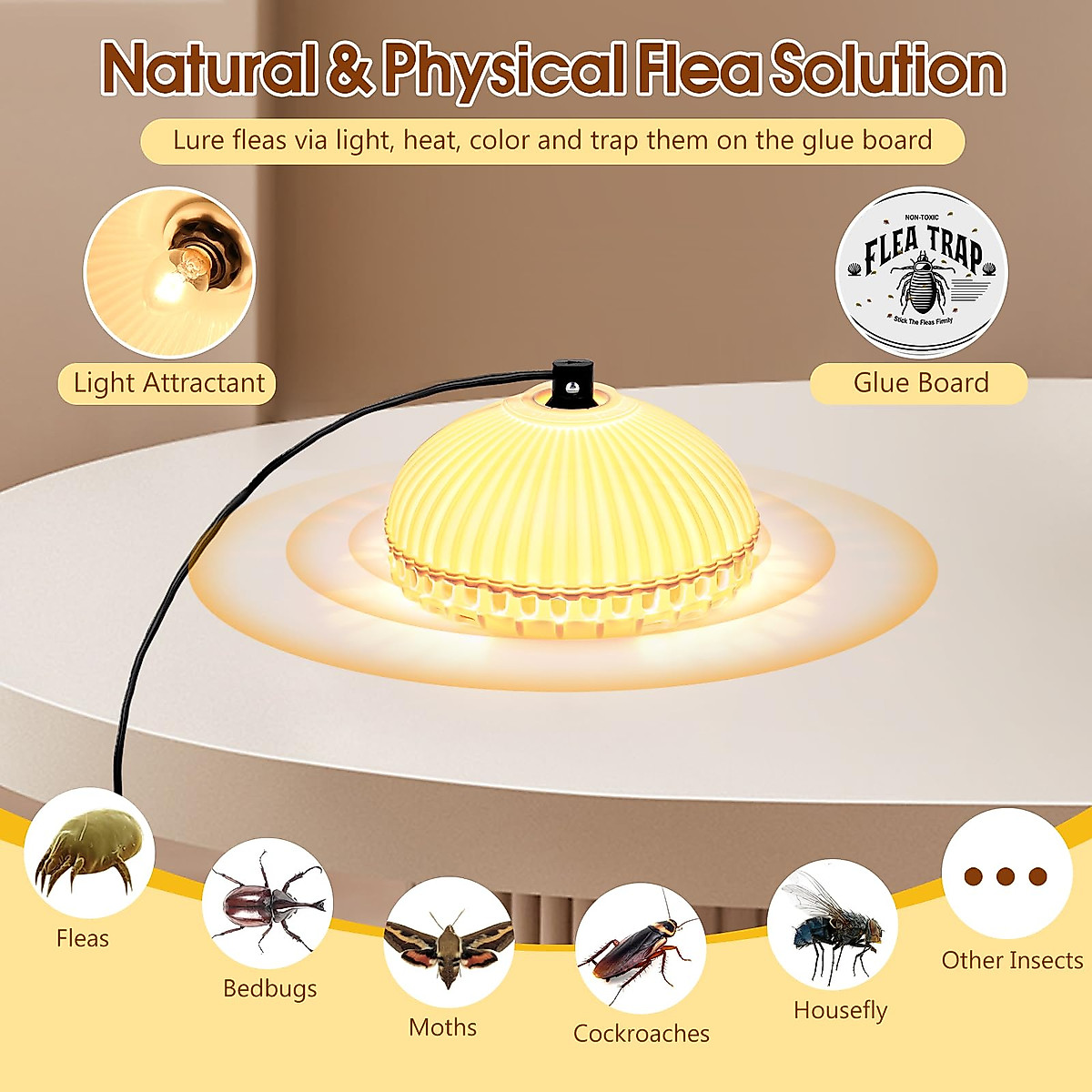 Flea Traps for Inside Your Home, 2 Pack Flea Trap Light with 4 Sticky Discs & 6 Bulbs, Shell Shape Electric Flea Killer Bed Bug Trap, Natural Indoor Pest Control Trap for Home, Safe to Pet & Child