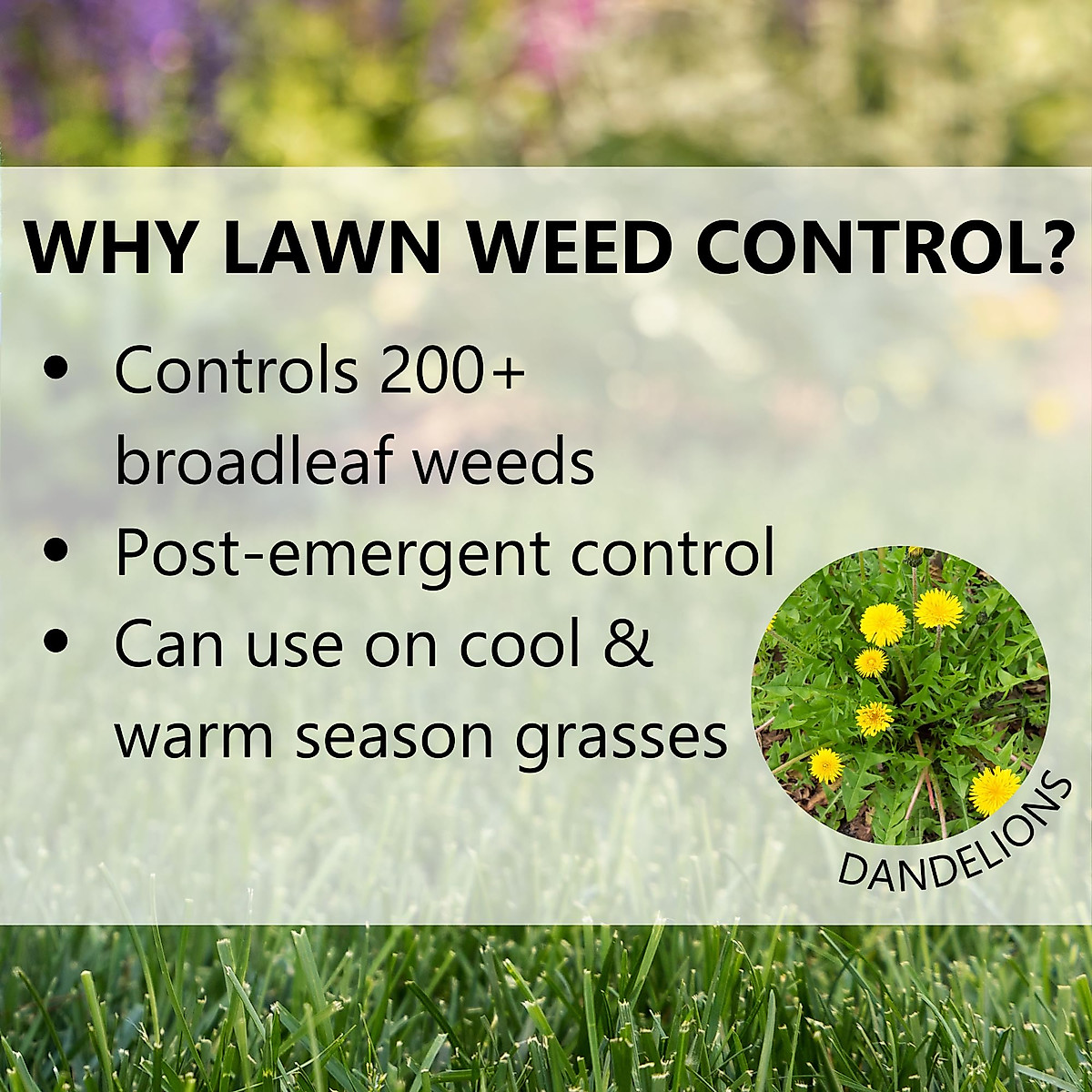 Jonathan Green (12195) Lawn Weed Control - Post Emergent Broadleaf Weed Killer (5,000 Sq. Ft.)