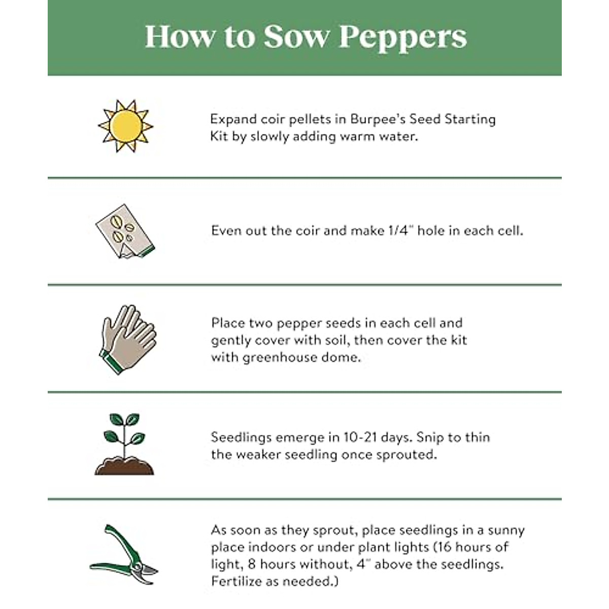 Burpee Carnival Mix Sweet Pepper Seeds 100 seeds