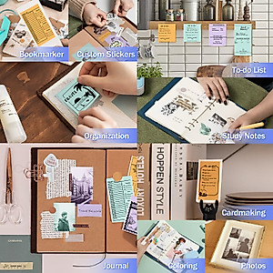 Ponek T02 White Self-Adhesive Paper, Black On White Paper, 50mm x 3.5m, 3 Rolls, Keep for 10 Years and T02/M02X/M02L Purple/Green/Orange Thermal Paper-20-Year Sticky 50mmx3.5m for Journal, 3 Rolls