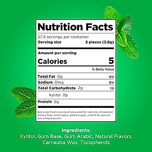 PUR Gum | Aspartame Free Chewing Gum | 100% Xylitol | Natural Spearmint Flavored Gum, 55 Pieces (Pack of 1)