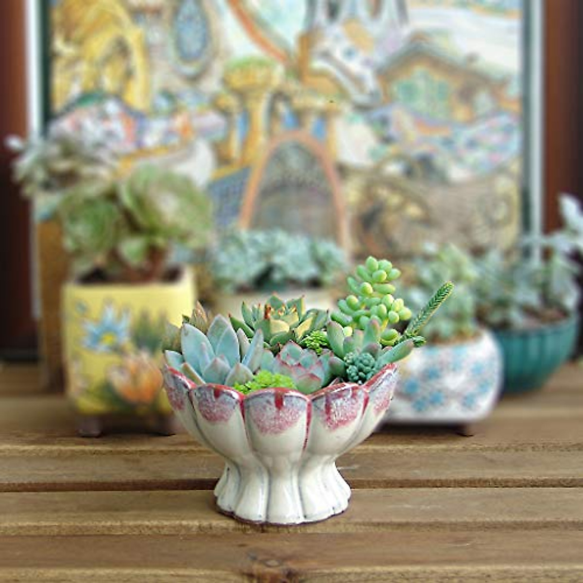 Summer Impressions 6 Inch Glazed Terracotta Succulent Planter with Drainage Hole Clear Plant Saucer Cactus Planter Pot Bonsai Pot Clay Pot Flower Pot (Lotus Red with Saucer)