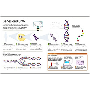 How to Be Good at Science, Technology, and Engineering (DK How to Be Good at)
