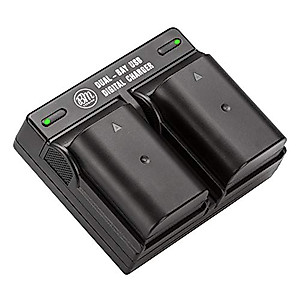 BM Premium 2-Pack of DMW-BLF19, DMW-BLF19e, DMW-BLF19PP Batteries and Dual Battery Charger for Panasonic Lumix DC-G9, DC-GH5, DMC-GH3, DMC-GH3K, DMC-GH4, DMC-GH4K Digital Camera